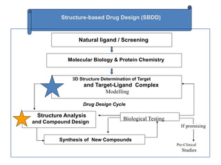 DENOVO DRUG DESIGN AS PER PCI SYLLABUS | PPTX