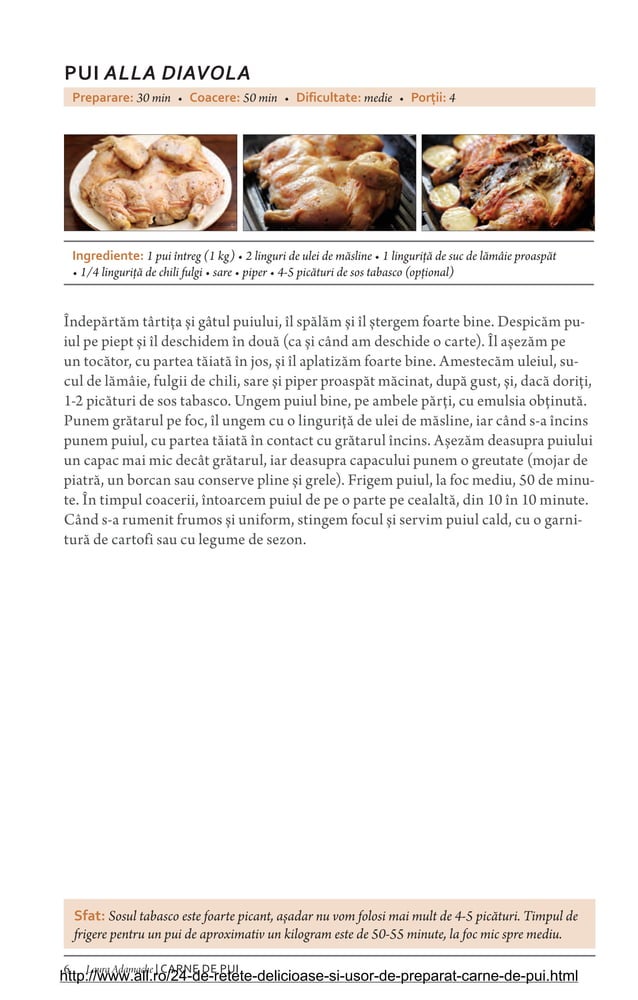 laura adamache 24 de retete carne de pui pdf | PDF