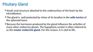 24 Endcrine Glands of Head ^0 Neck.pptx . . | PPTX