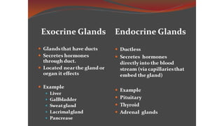 24 Endcrine Glands of Head ^0 Neck.pptx . . | PPTX