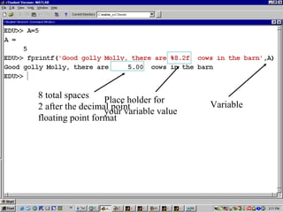 Chapter 7 - User Controlled Input and Output | PPT