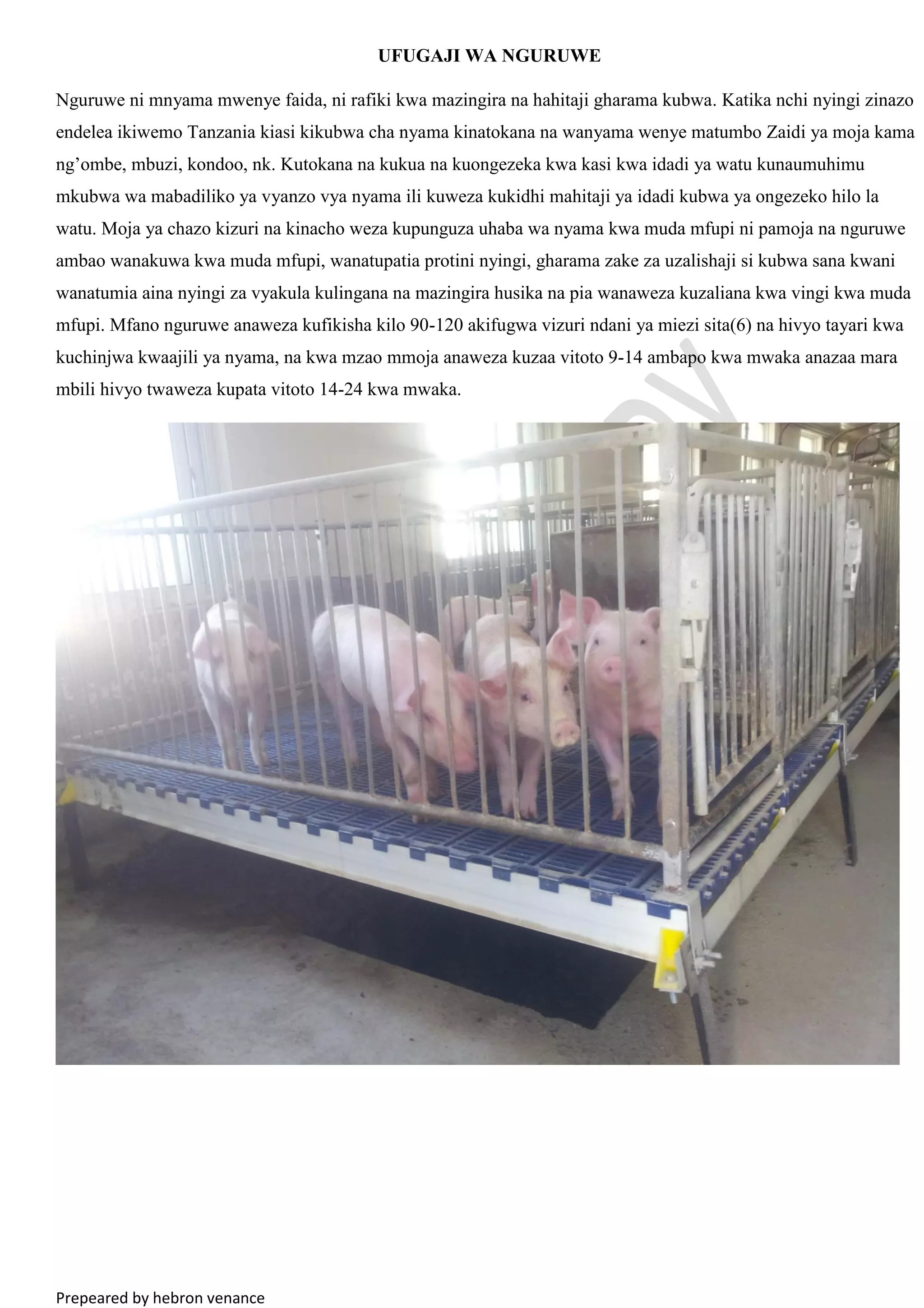 Nguruwe ni mnyama mwenye faida | PDF