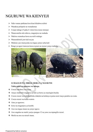 Nguruwe ni mnyama mwenye faida | PDF
