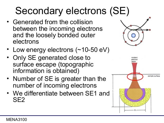 Scanning Electron Microscopy
