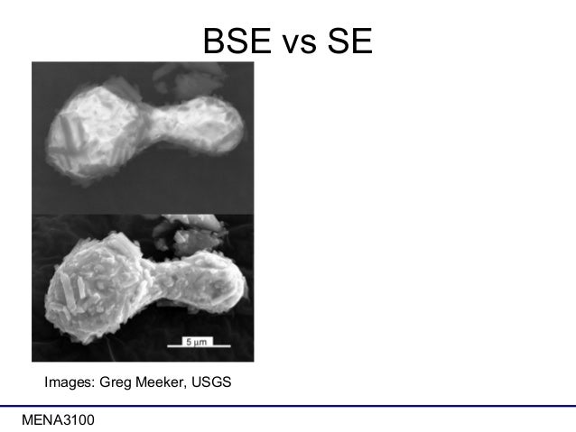 Scanning Electron Microscopy