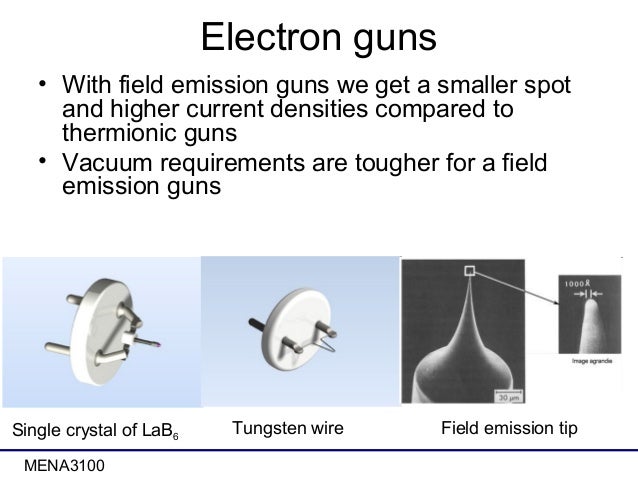 Scanning Electron Microscopy