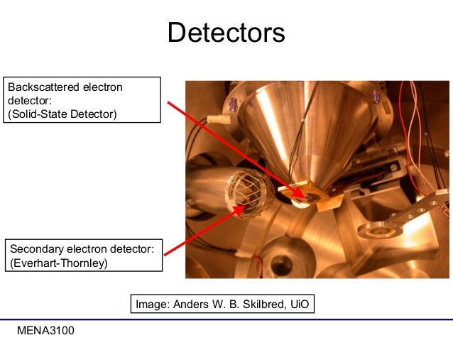 Scanning Electron Microscopy