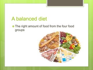 24 food pyramid | PPTX