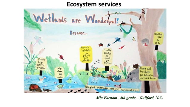 Green, nature-based water infrastructure: The EIP Water "NatureWAT ...