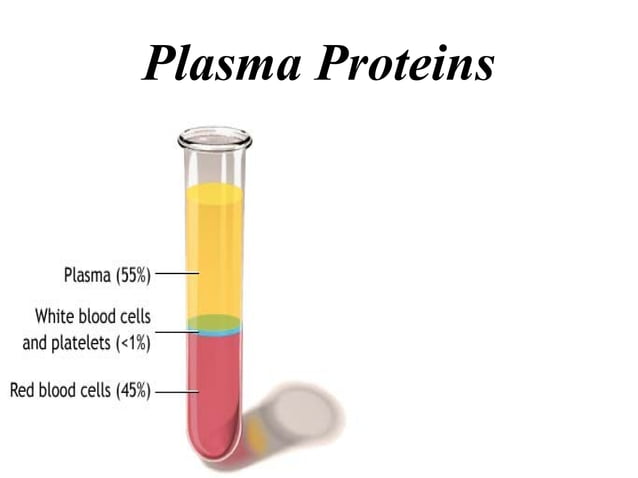 24 lec composition of plasma & plasma protein