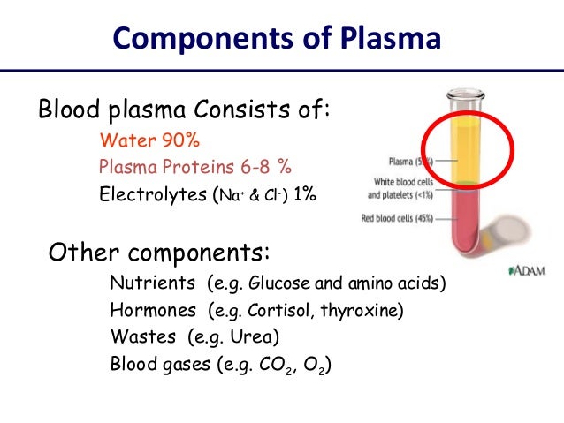 24 lec composition of plasma & plasma protein