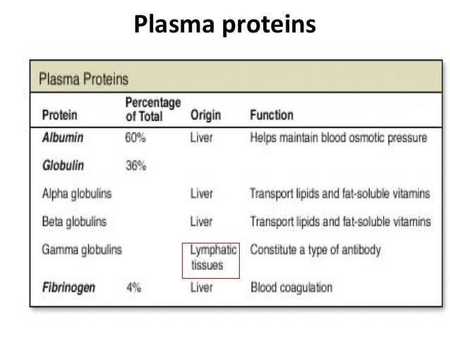 24 lec composition of plasma & plasma protein