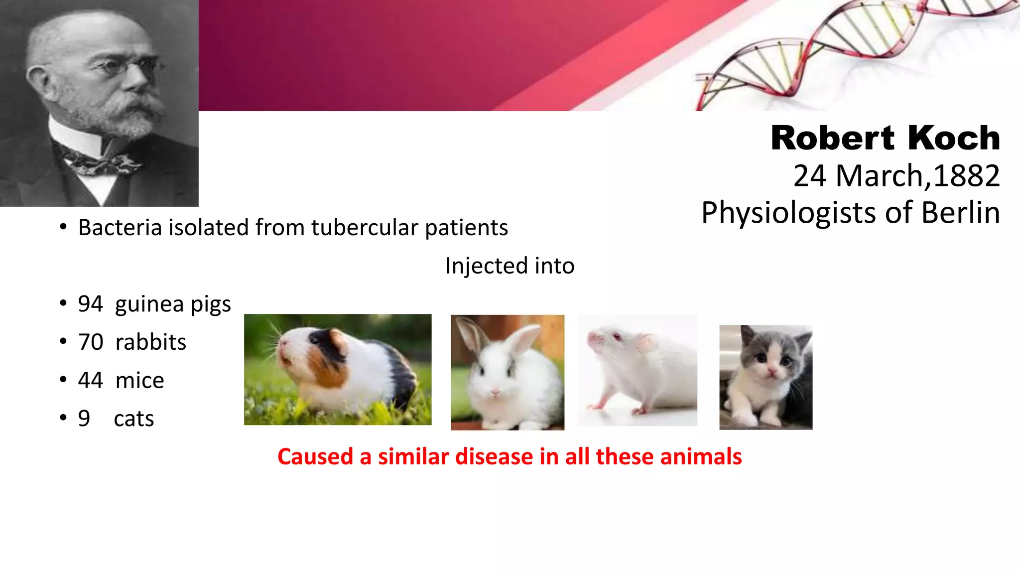 24 March Short Ntep Who Diagnosis Of Dr Tb Ppt