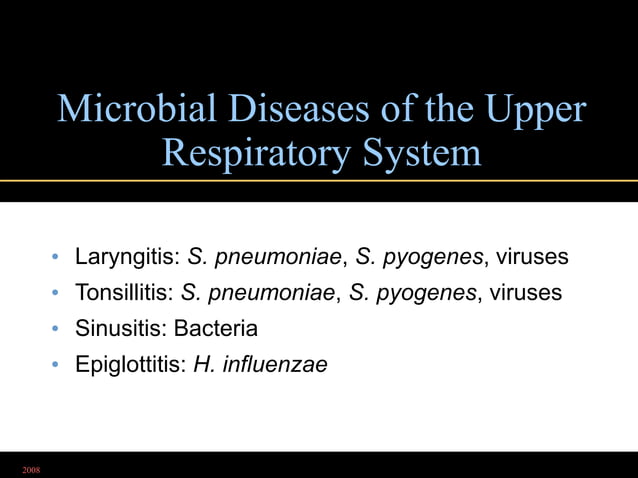 24_Microbial_Diseases_of_the_Respiratory_System (2).ppt