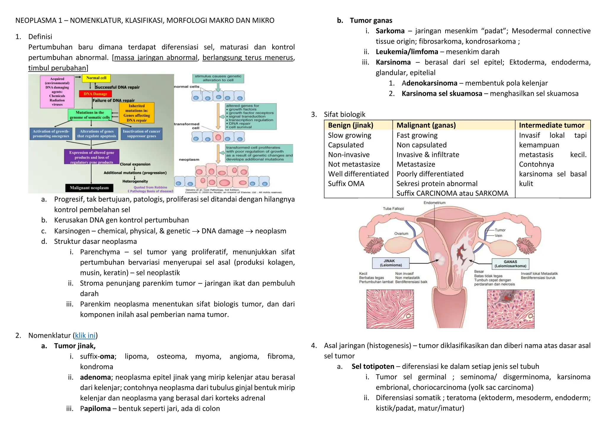 Neopasla Nomenklatur Pada Kasus Cancer. | PDF