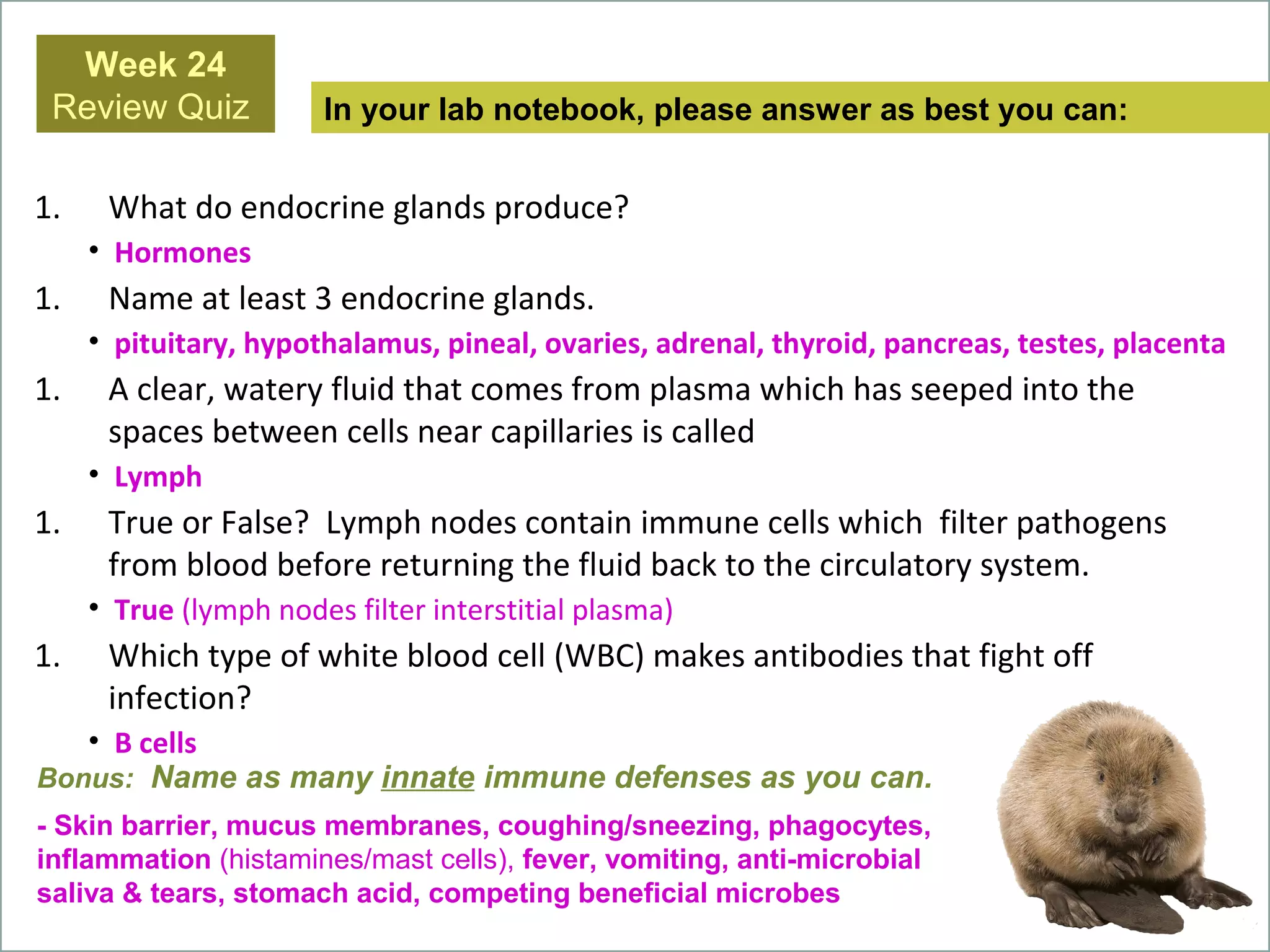 The Nervous System: CNS & PNS | PPT