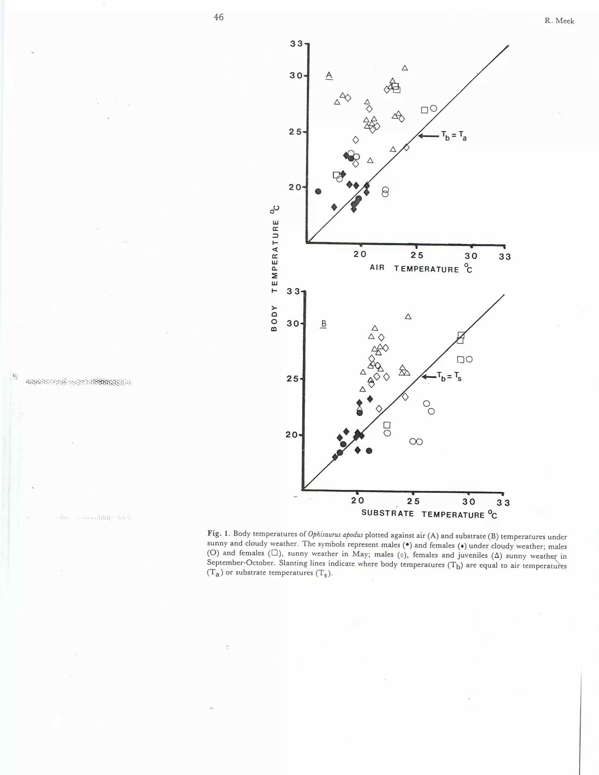 Ophisaurus apodus; field body temperatures | PDF