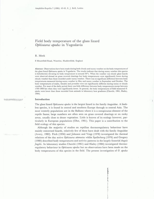 Ophisaurus apodus; field body temperatures | PDF
