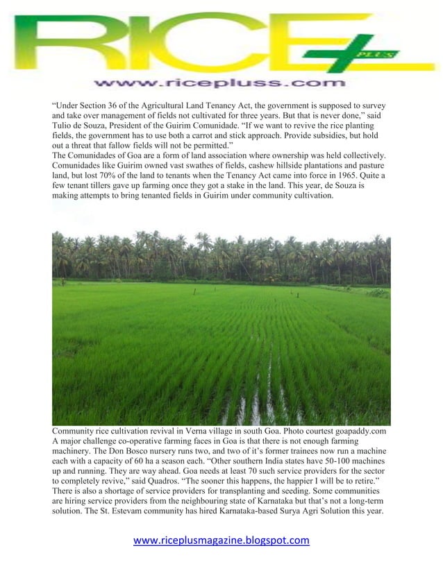 24th july,2019 daily global regional and local | PDF