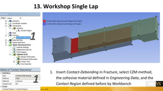 24_Workshop_14_(OPTIONAL)_Single lap joint_17.0.pdf