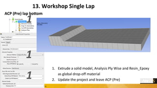 24_Workshop_14_(OPTIONAL)_Single lap joint_17.0.pdf
