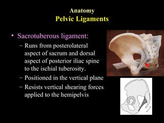 25. management of pelvic ring injuries | PPT