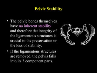 25. management of pelvic ring injuries | PPT