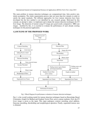 PERFORMANCE EVALUATION OF TUMOR DETECTION TECHNIQUES | PDF