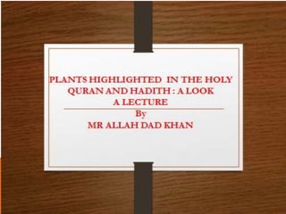 25. Prophet medicines ( cucumber) A Series of Presentation to Trainee ...