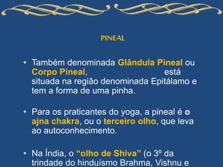 Epífise ou Glândula Pineal | PPSX