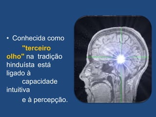 Epífise ou Glândula Pineal | PPSX