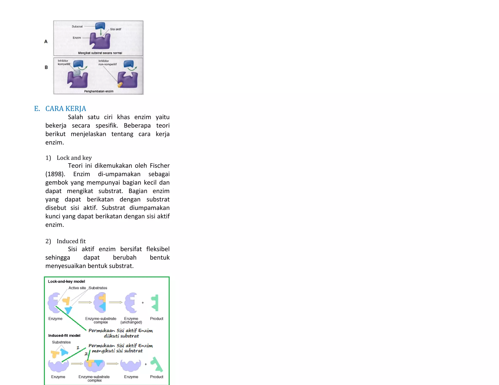 ENZIM | PPT | Free Download