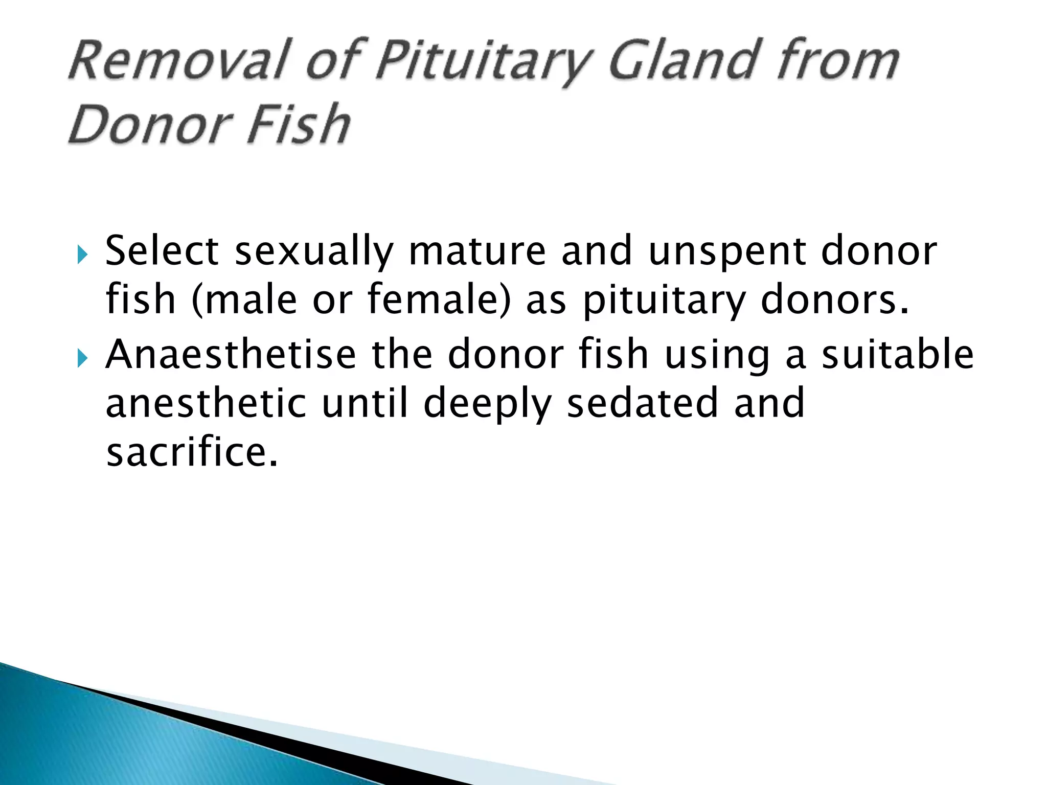 Hypophysation | PPTX