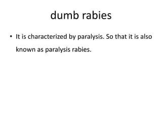 25. rabies virus | PPTX | Infectious Diseases | Diseases and Conditions