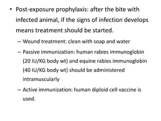 25. rabies virus | PPTX