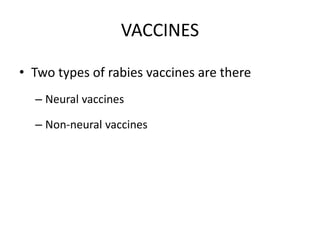 25. rabies virus | PPTX
