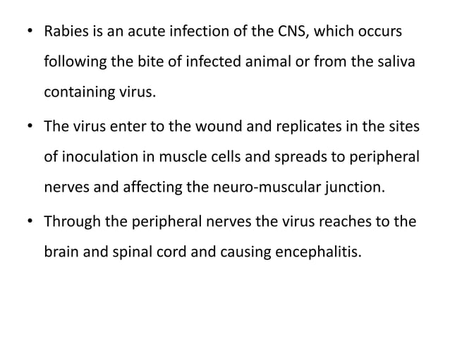 25. rabies virus | PPTX | Infectious Diseases | Diseases and Conditions