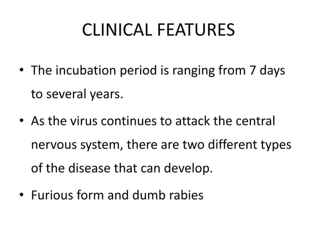 25. rabies virus | PPTX | Infectious Diseases | Diseases and Conditions