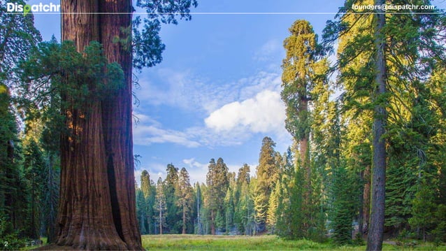 Dispatchr - Batch 25 Demo Day | PPT