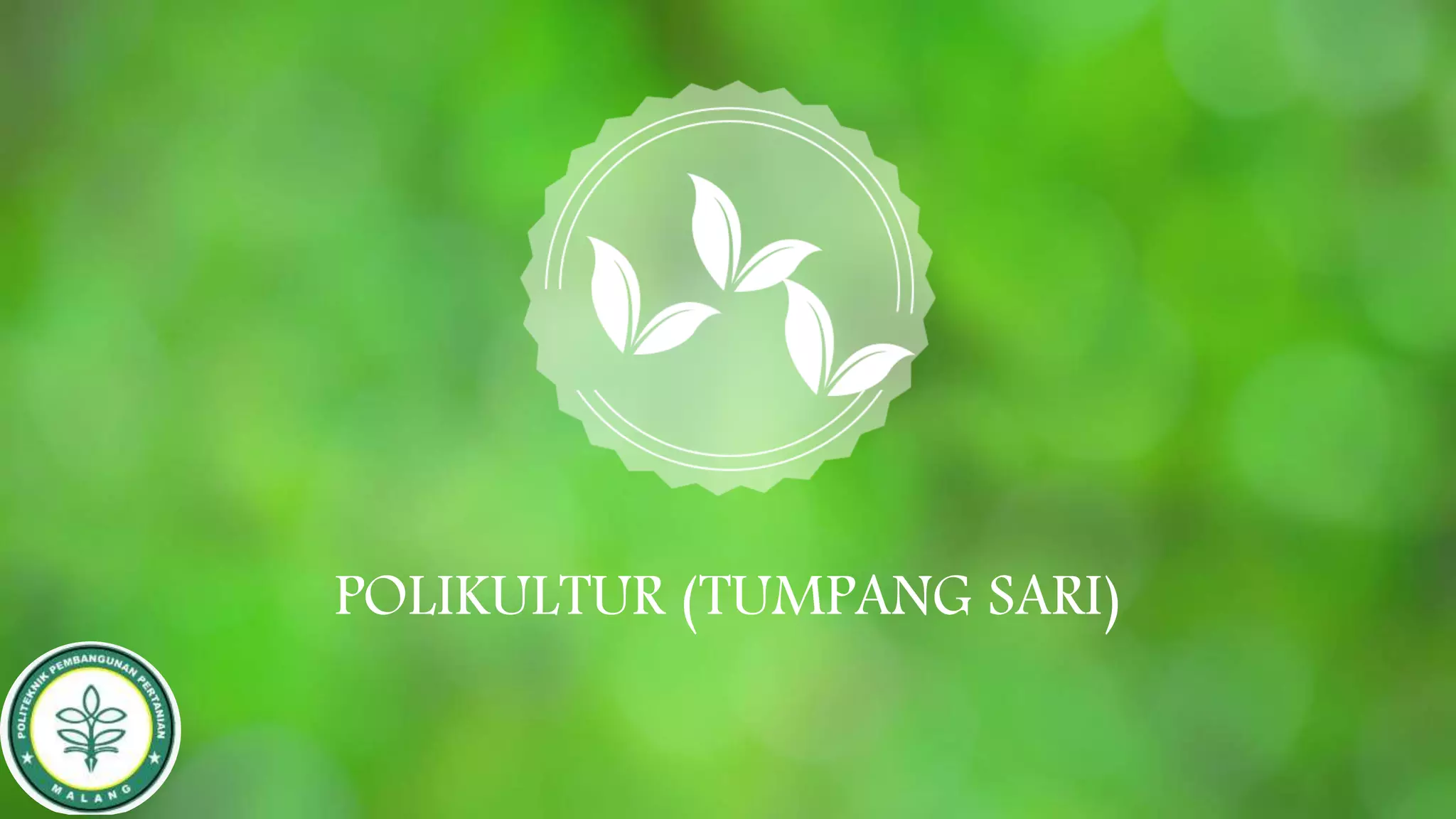 25. Sistem tanam tumpang sari oleh monika andini | PPTX