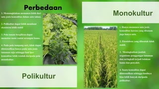 25. Sistem tanam tumpang sari oleh monika andini | PPTX
