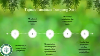 25. Sistem tanam tumpang sari oleh monika andini | PPTX