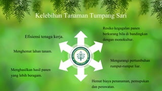 25. Sistem tanam tumpang sari oleh monika andini | PPTX