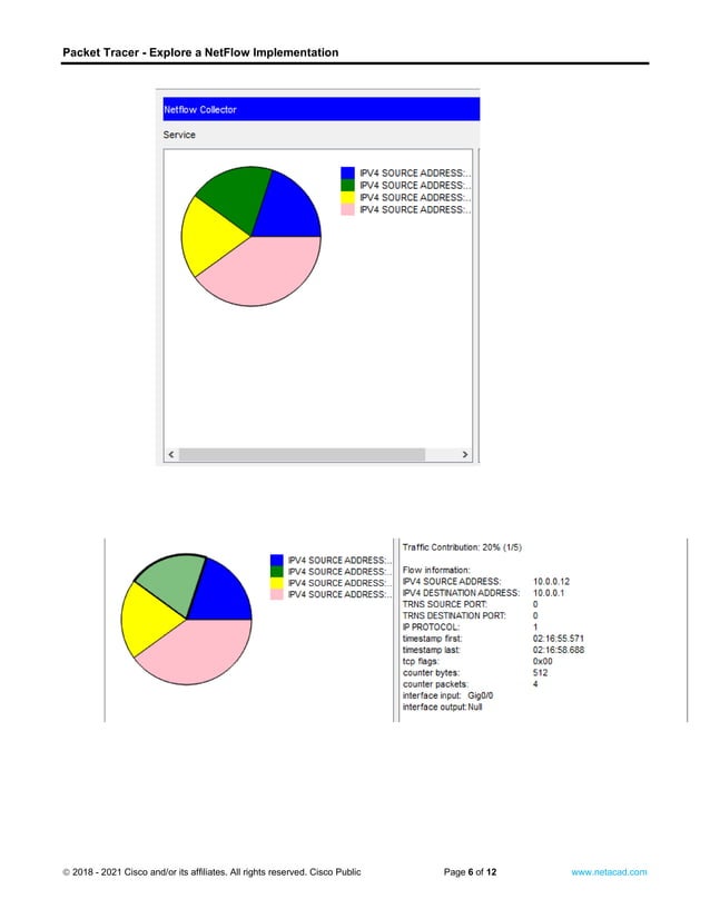 25.3.10 packet tracer explore a net flow implementation | PDF