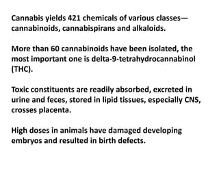 25. Drug Yielding Plants.pdf