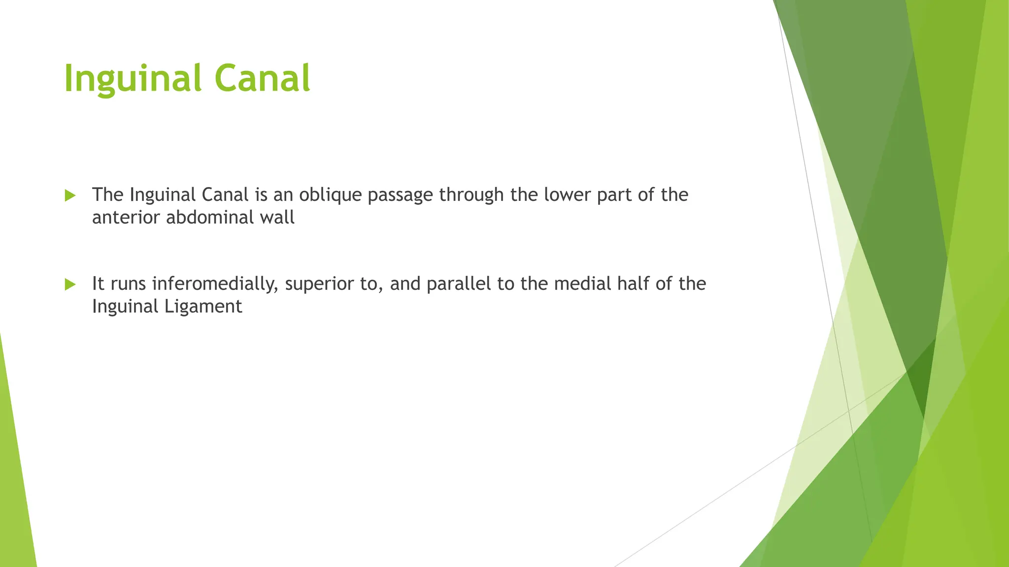 25. Development of the Inguinal Canal.pptx