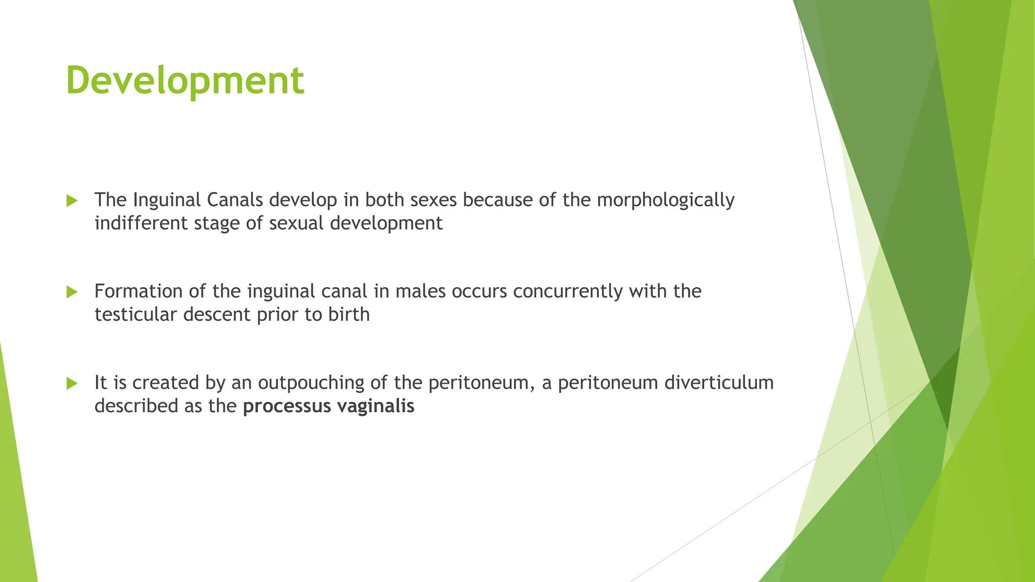 25. Development of the Inguinal Canal.pptx