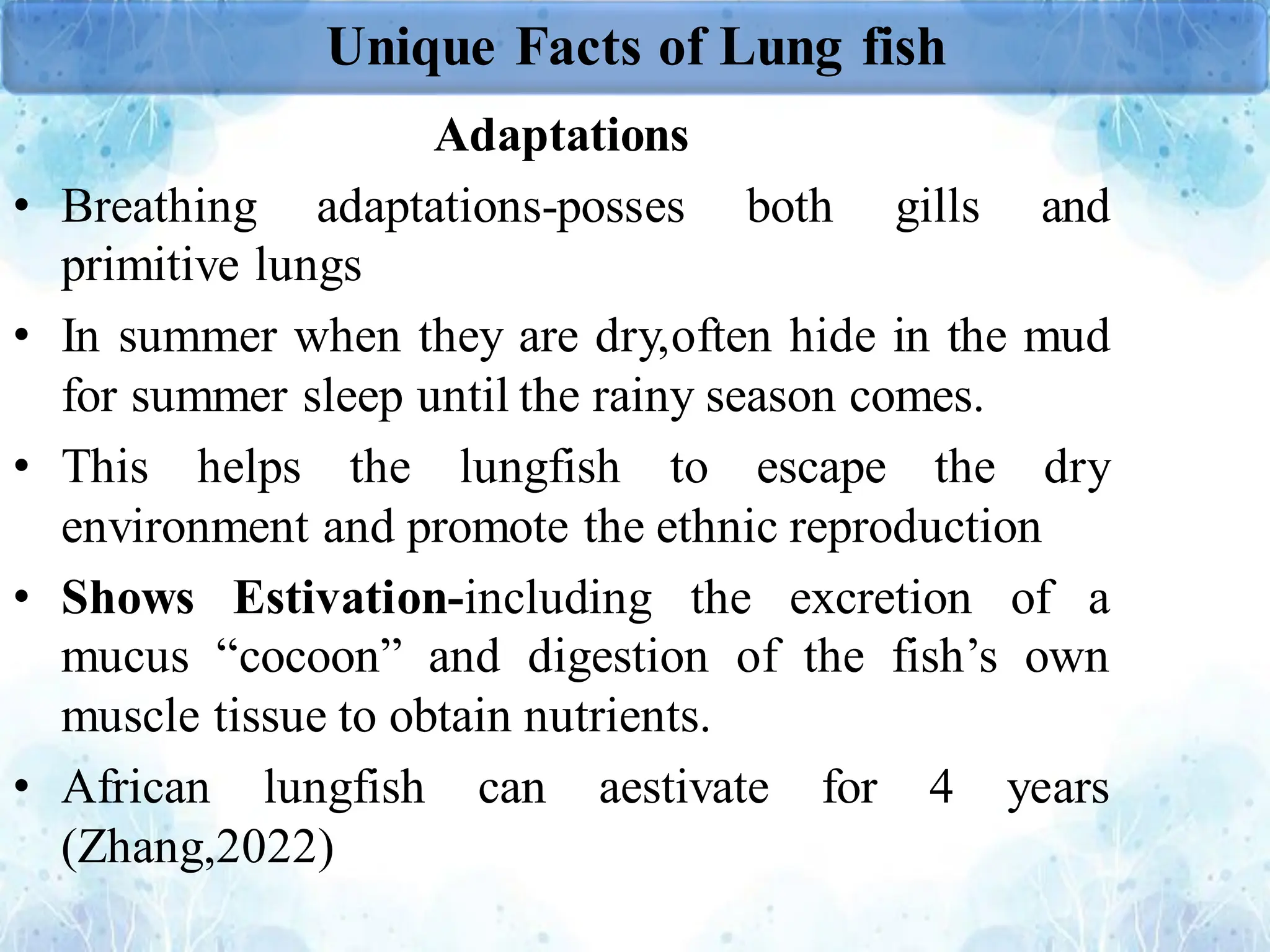 25.Lung fish, evolutionary history and economic importance | PDF