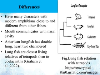 25.Lung fish, evolutionary history and economic importance | PDF