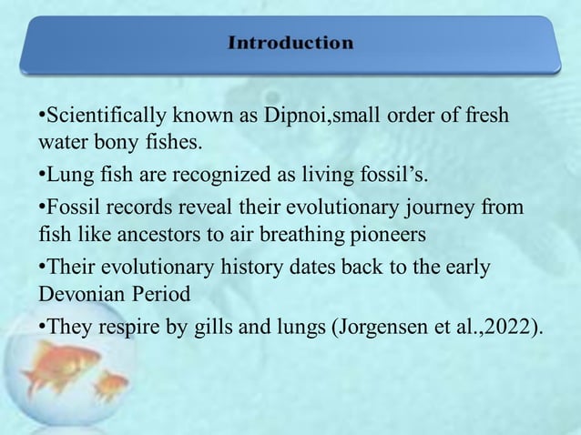 25.Lung fish, evolutionary history and economic importance | PDF